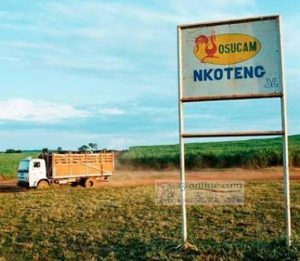 Offre d'emploi à Société sucrière du Cameroun (Sosucam)