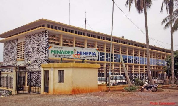 Arrêté Concours MINADER 2025