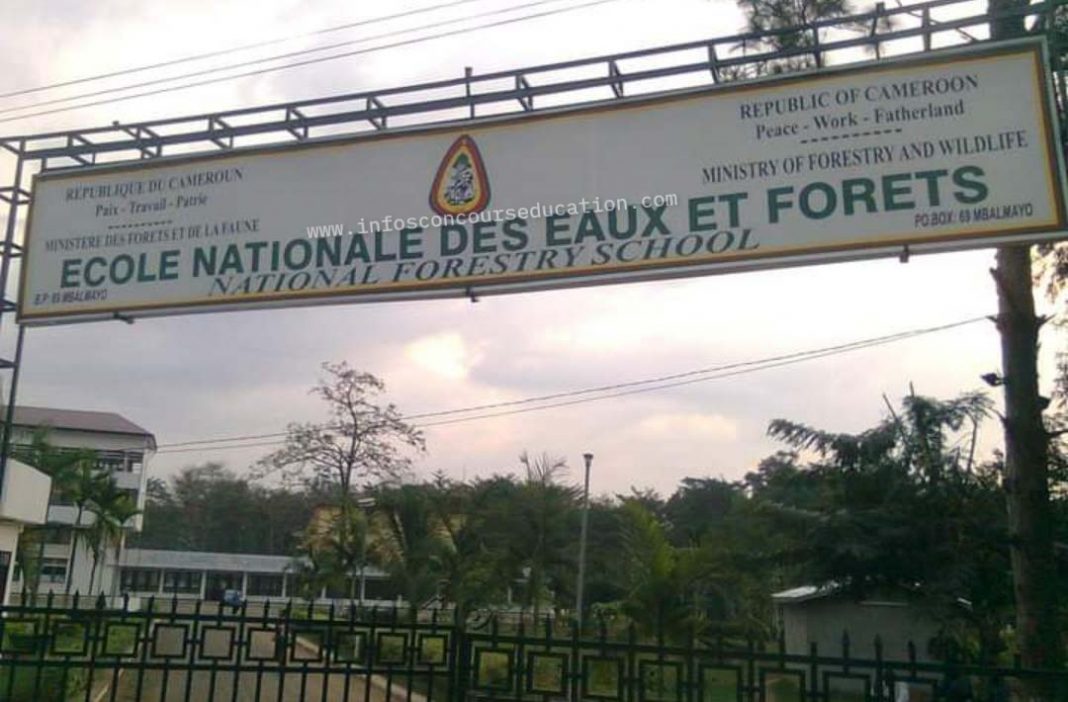 Résultats Concours ENEF Mbalmayo 2025