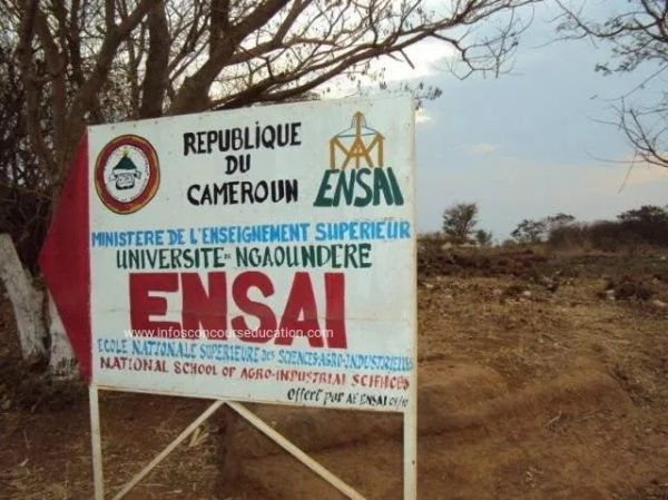 Arrêté Concours ENSAI Ngaoundéré 2025