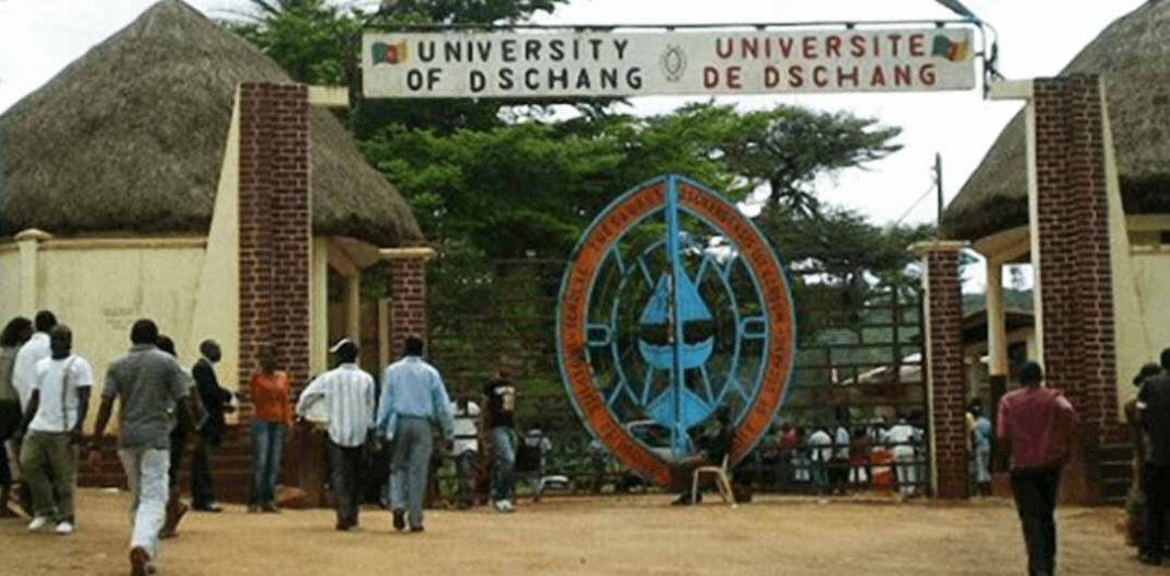Application for PhD Scholarships 2025 at the University of Dschang